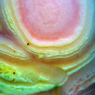 Weston | Naturally Exclusive | Earth and Nature Inspired Scarves